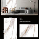 Home - GrayCore Wholesale USA
